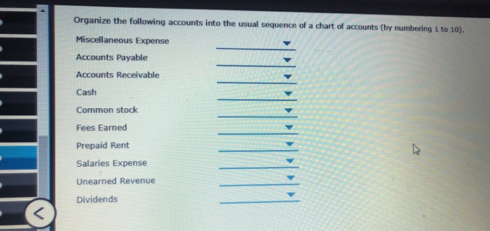 Solved Organize the following accounts into the usual | Chegg.com