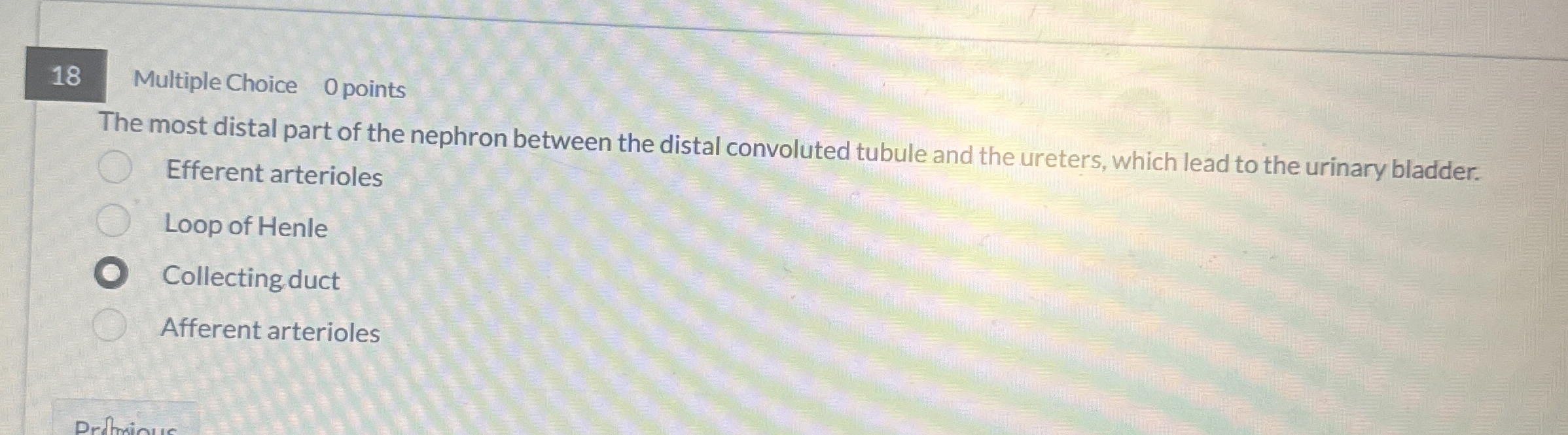 Solved 18Multiple Choice 0 ﻿pointsThe most distal part of | Chegg.com