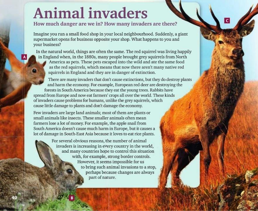 Solved Animal invaders с A How much danger are we in? How | Chegg.com