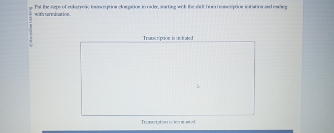 Solved Put the steps of eukaryotic transcription elongation | Chegg.com
