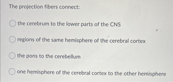 Solved The projection fibers connect: the cerebrum to the | Chegg.com