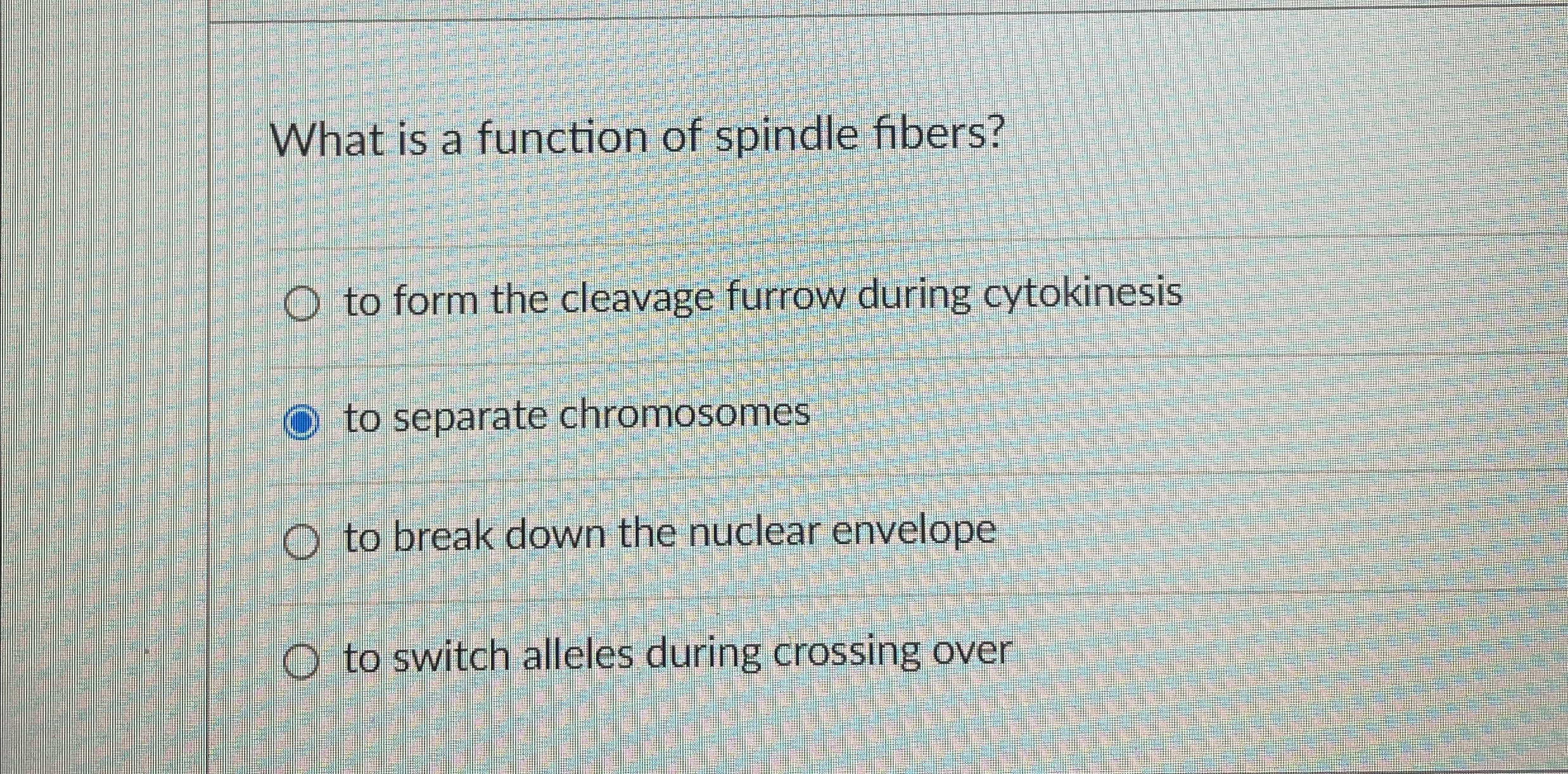 Solved What is a function of spindle fibers?to form the | Chegg.com