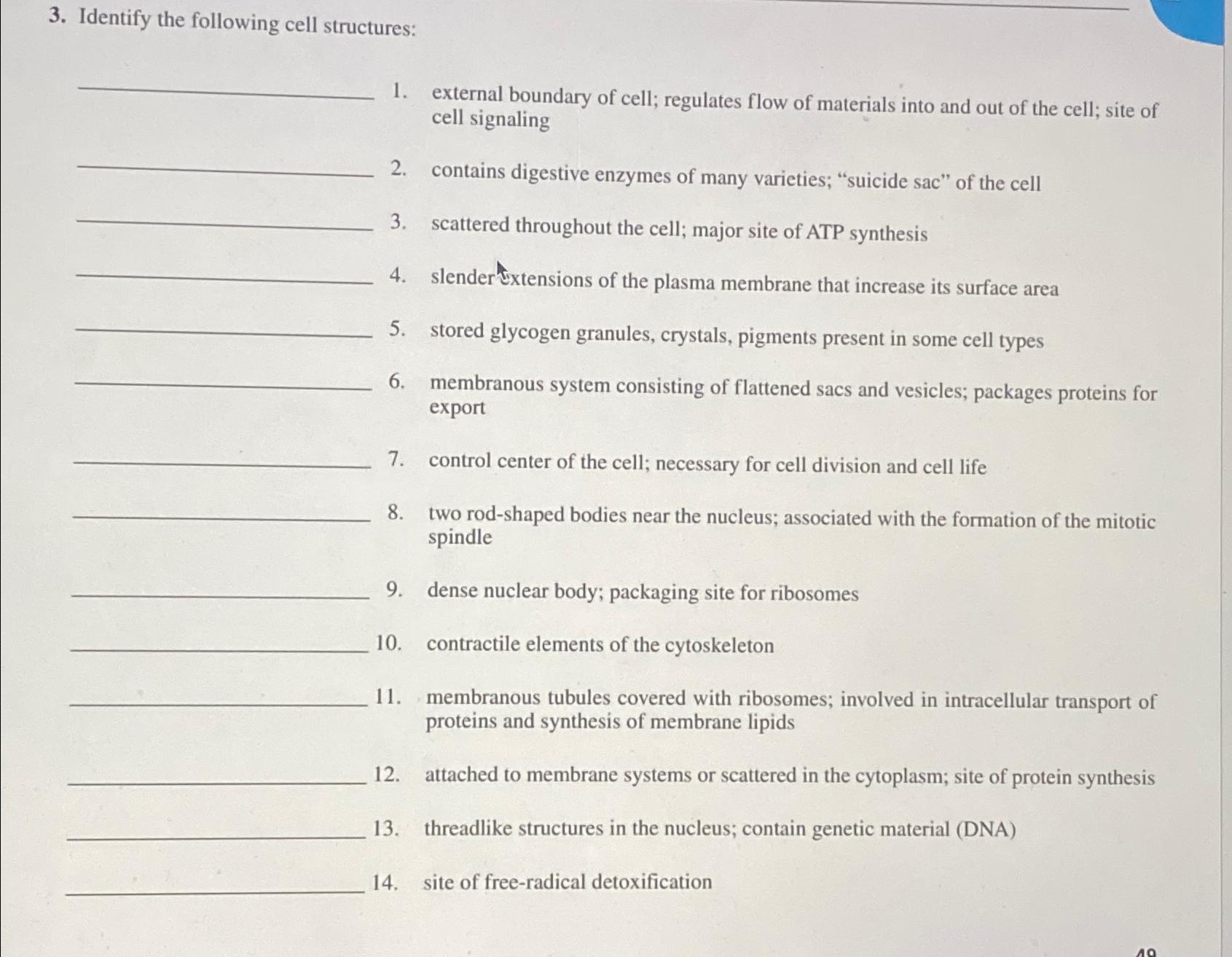 Solved Identify the following cell structures:external | Chegg.com