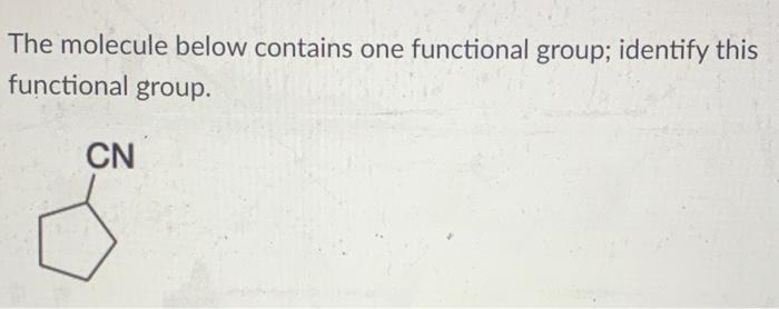 Solved The molecule below contains one functional group; | Chegg.com