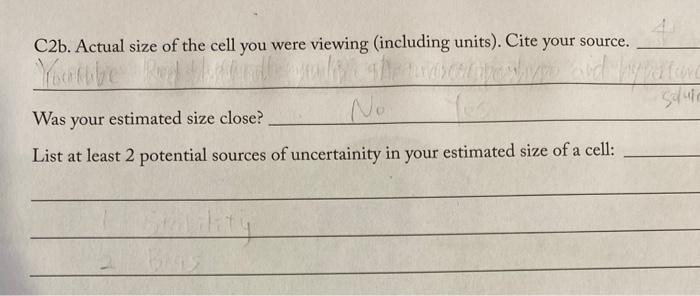 Solved EXERCISE 2: MEASUREMENT OF CELLS Type of cell on | Chegg.com