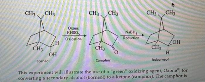 Solved What is the mechanism and balanced equation for the | Chegg.com