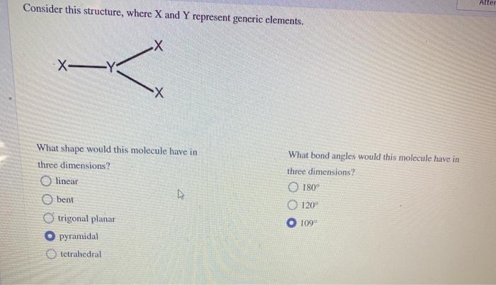 Solved Atter Consider this structure, where X and Y | Chegg.com