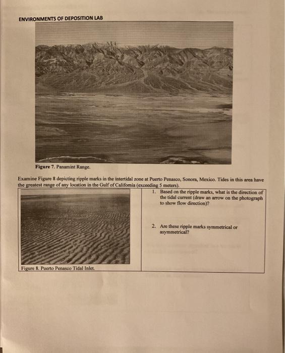 Solved Examine Figure 8 depicting ripple marks in the | Chegg.com