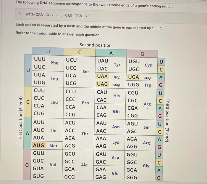 Solved 5. ATG-GAA-CCG ... CAG-TGA 3 , Each codon is | Chegg.com