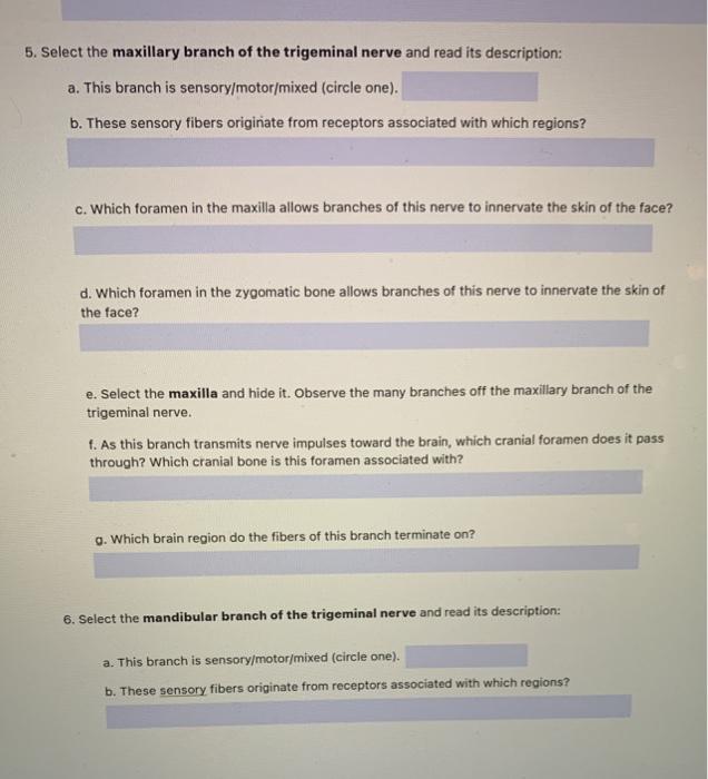 Solved 1. Select the region of the trigeminal nerve closest | Chegg.com
