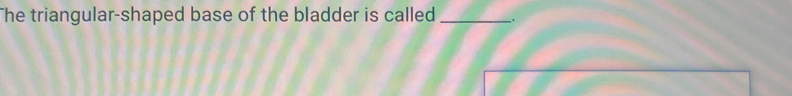 Solved The triangular-shaped base of the bladder is called | Chegg.com