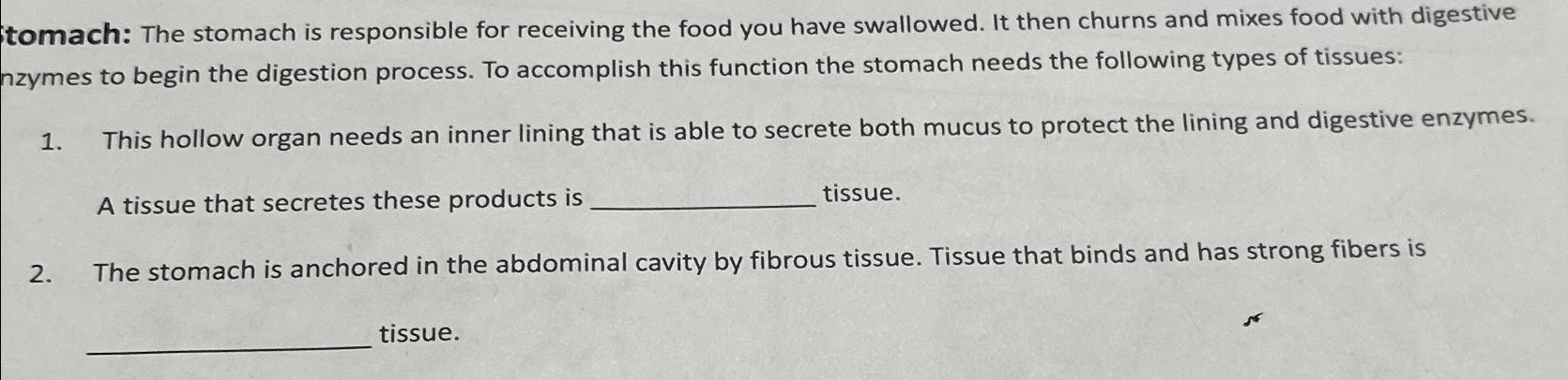 Solved tomach: The stomach is responsible for receiving the | Chegg.com