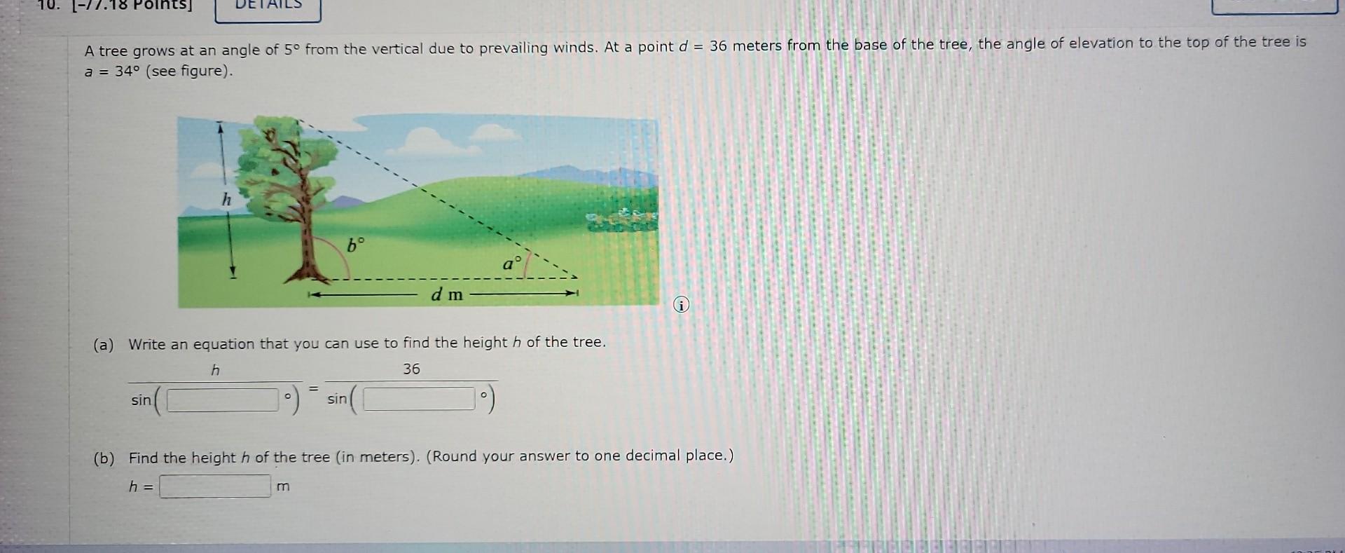Solved A tree grows at an angle of 5∘ from the vertical due | Chegg.com