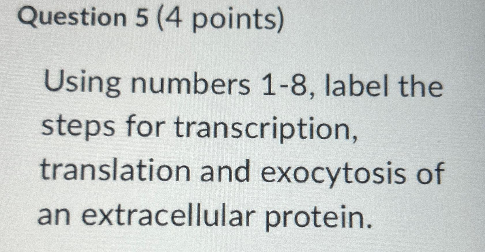 Solved Question 5 (4 ﻿points)Using numbers 1-8, ﻿label the | Chegg.com
