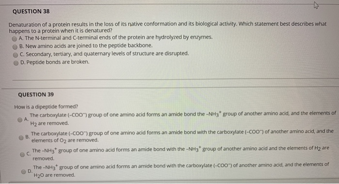 Solved QUESTION 38 Denaturation of a protein results in the | Chegg.com