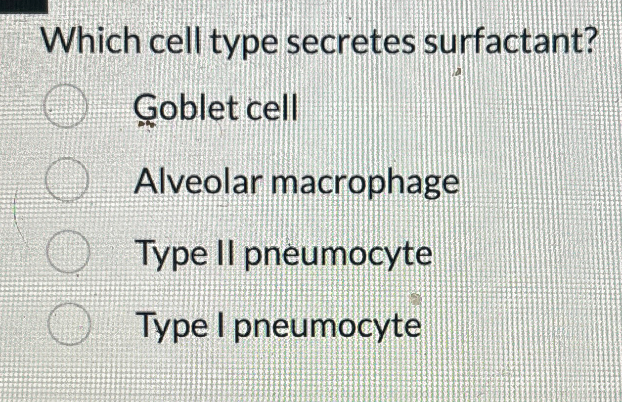 Solved Which cell type secretes surfactant?Goblet | Chegg.com