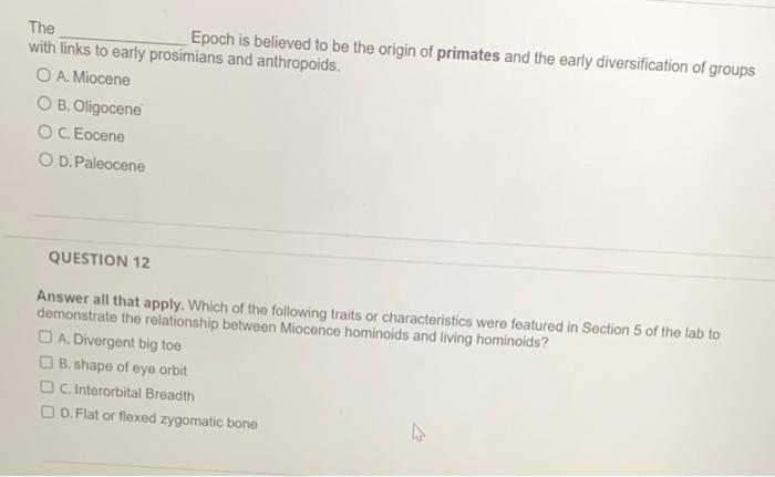 Solved The Epoch is believed to be the origin of primates | Chegg.com