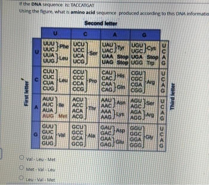 Solved If the DNA sequence is: TACCATGAT Using the figure, | Chegg.com