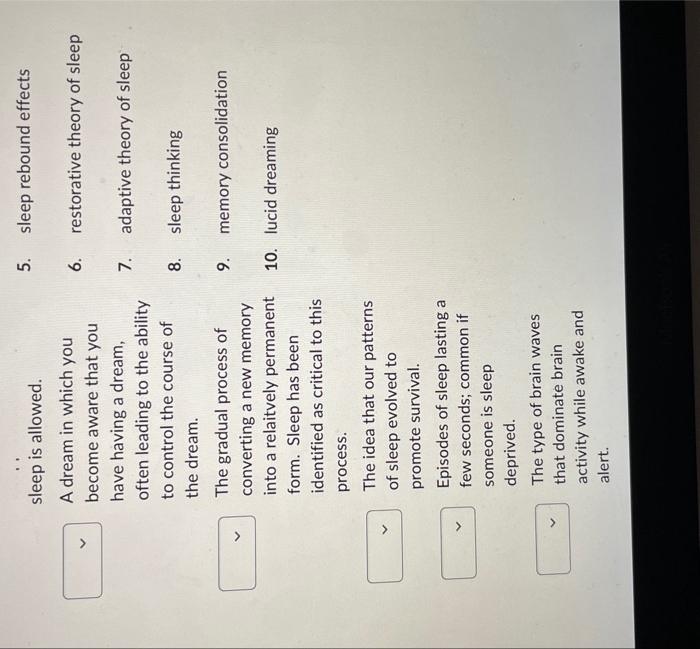 Solved 1. REM sleep 2. NREM sleep 3. beta waves 4. | Chegg.com