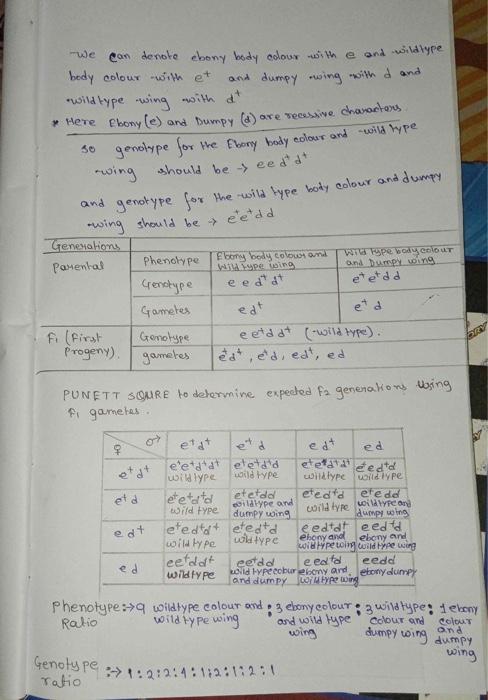 Table 1. Chi Square Test for Autosomal Independence | Chegg.com