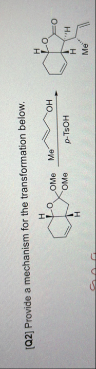 Solved [Q2] ﻿Provide a mechanism for the transformation | Chegg.com