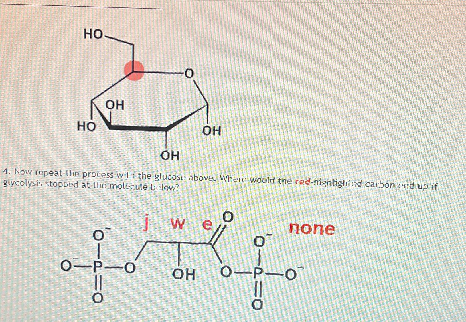 Solved Now repeat the process with the glucose above. Where | Chegg.com