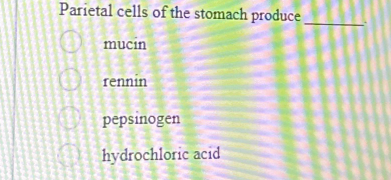 Solved Parietal cells of the stomach | Chegg.com