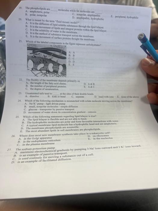 1. MULTIPLE CHOICE: 1. Which of the following | Chegg.com