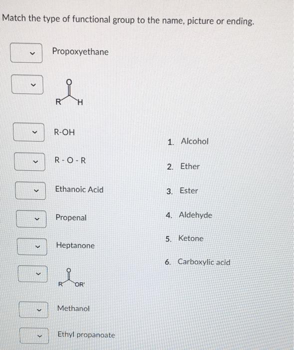Solved Match the type of functional group to the name, | Chegg.com
