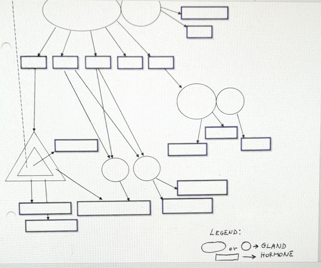Solved ENDOCRINE SYST. CONCEPT MAP | Chegg.com