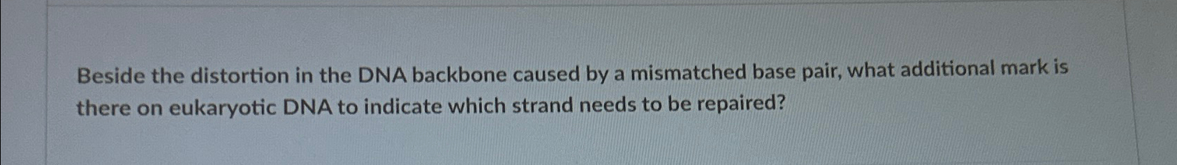 Solved Beside the distortion in the DNA backbone caused by a | Chegg.com