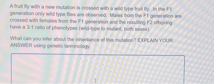 Solved A fruit fly with a new mutation is crossed with a | Chegg.com