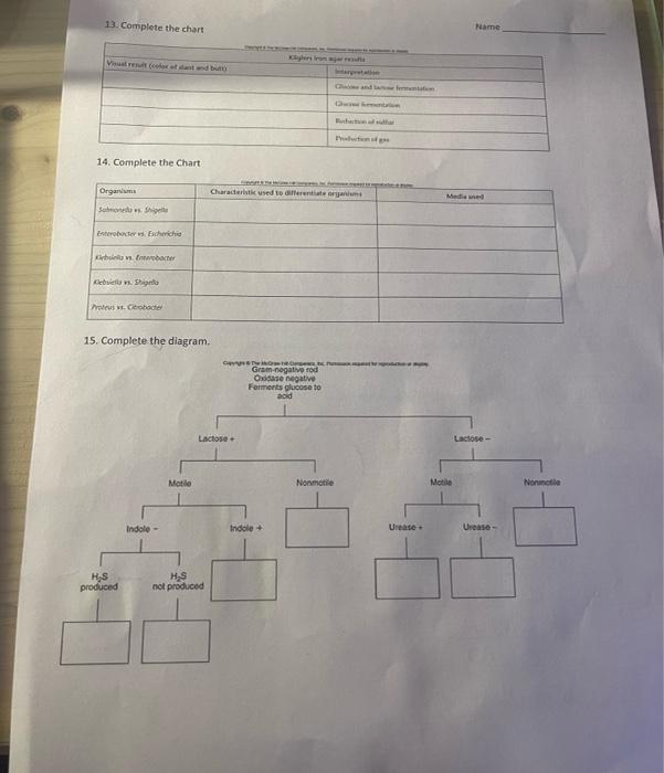 13. Complete the chart 14. Complete the Chart 15. | Chegg.com
