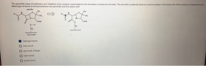 Solved Which of the following is true for an enzyme | Chegg.com