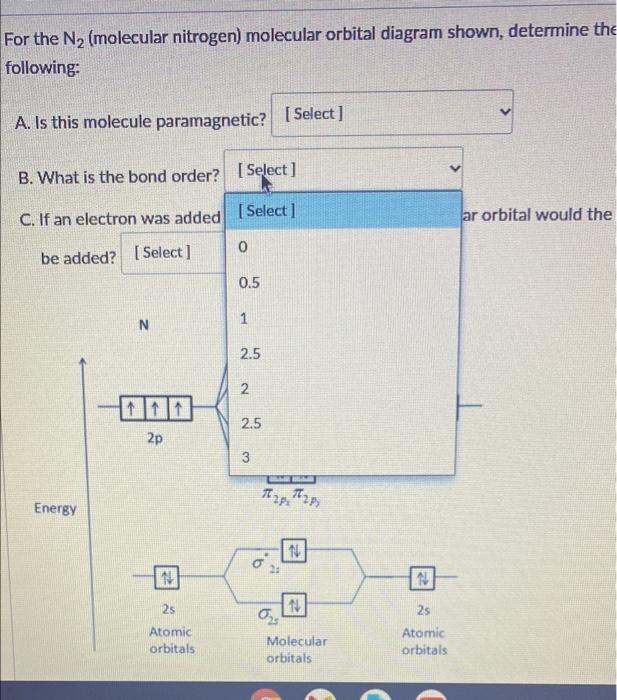 Solved For the N2 (molecular nitrogen) molecular orbital | Chegg.com