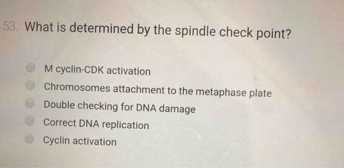 Solved 53. What is determined by the spindle check point? M | Chegg.com