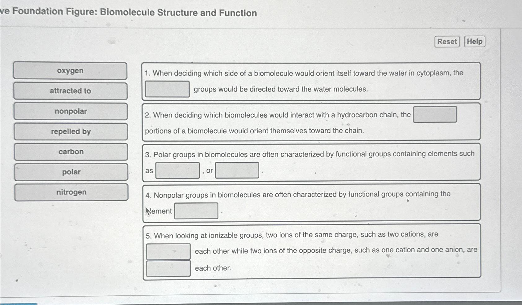 Solved ve Foundation Figure: Biomolecule Structure and | Chegg.com