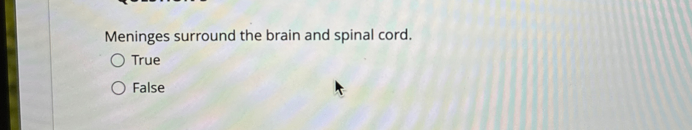 Solved Meninges surround the brain and spinal cord.TrueFalse | Chegg.com