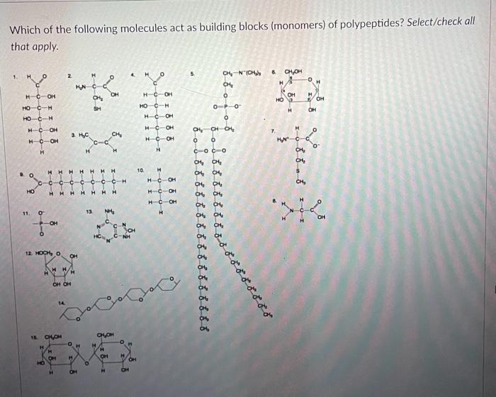 Solved Which Of The Following Molecules Act As Building