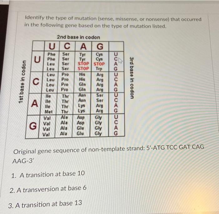 Solved Identify the type of mutation (sense, missense, or | Chegg.com