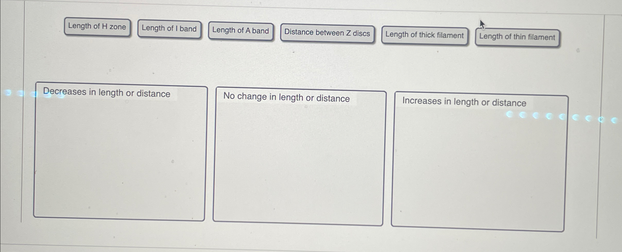Solved Length of H ﻿zoneLength of I bandLength of A | Chegg.com