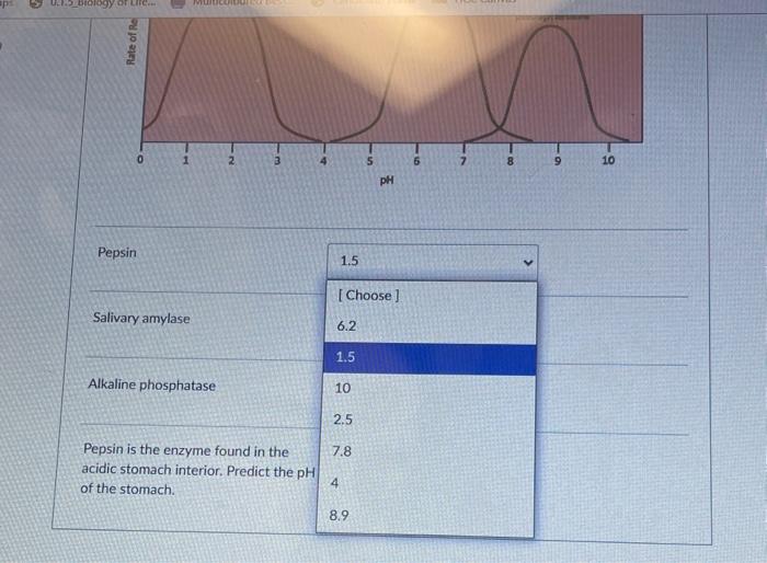 Solved The graph shows the rate of a reaction of a human | Chegg.com