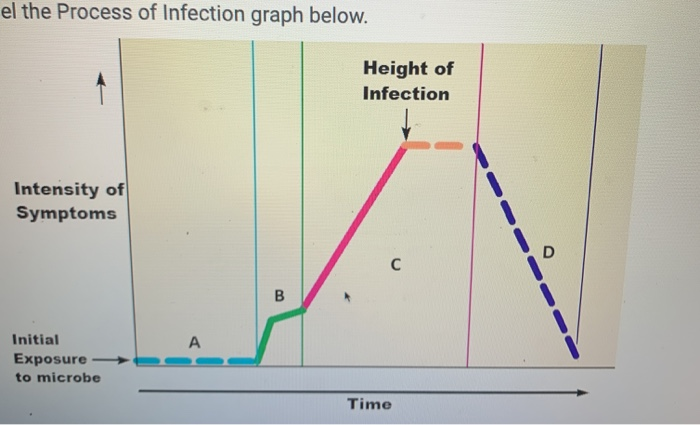 Solved el the Process of Infection graph below. Height of | Chegg.com
