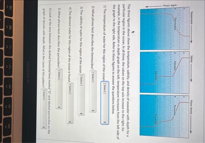 Solved Water depth Temperature Salinity Thermocline | Chegg.com