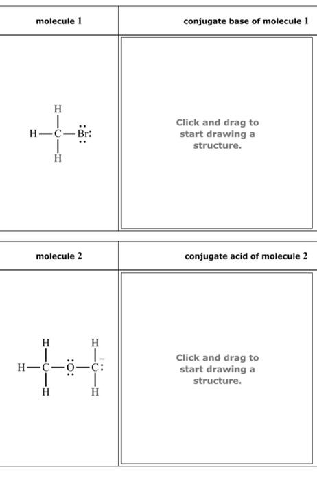 Solved Draw a Lewis structure for each conjugate acid or | Chegg.com