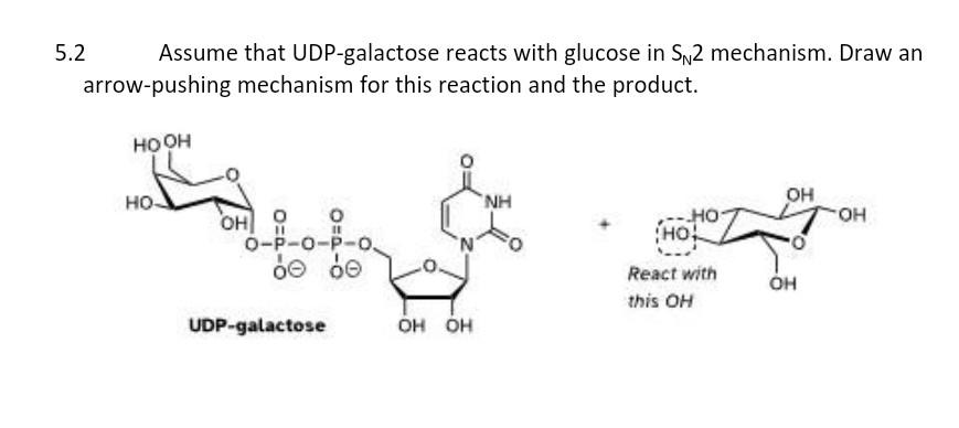 Solved 5.2 Assume that UDP-galactose reacts with glucose in | Chegg.com