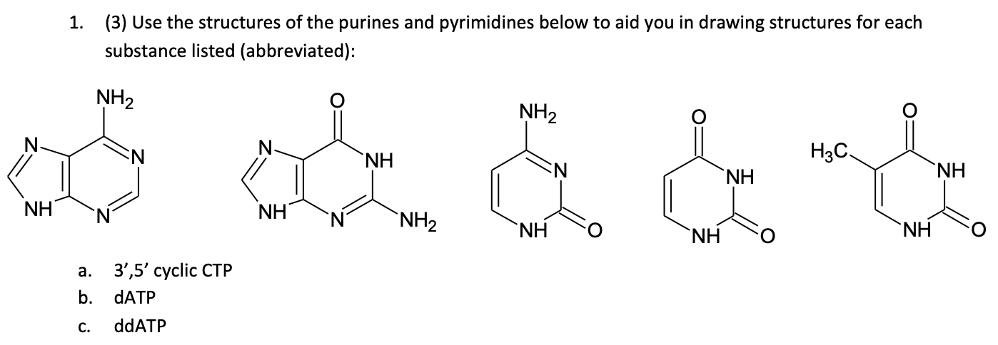 Solved (3) ﻿Use the structures of the purines and | Chegg.com
