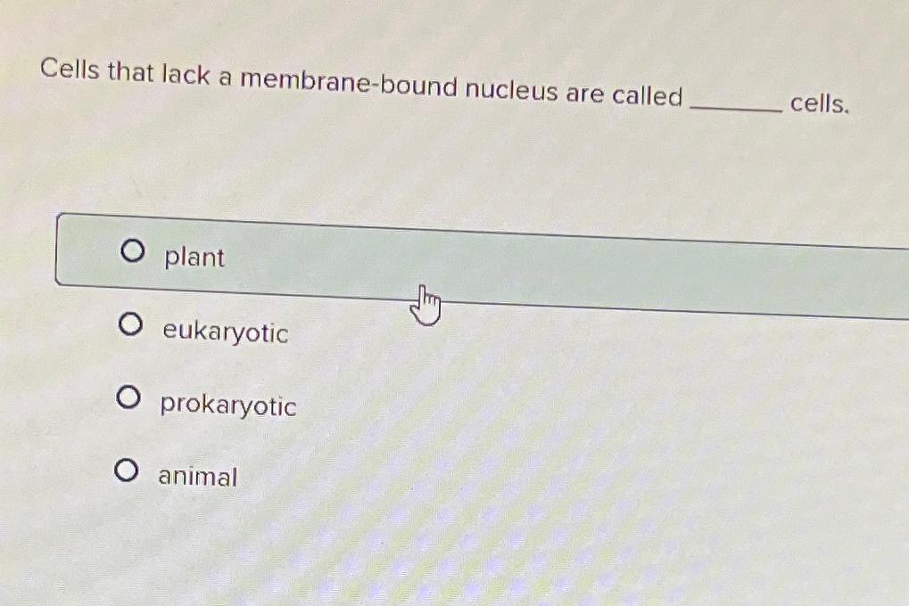Solved Cells that lack a membrane-bound nucleus are called | Chegg.com