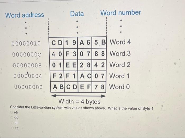Solved vVIdth =4 bytes Consider the Little-Endian system | Chegg.com