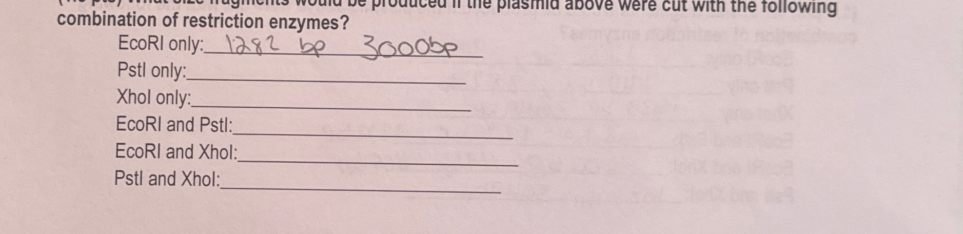 Solved combination of restriction enzymes?EcoRI only: | Chegg.com